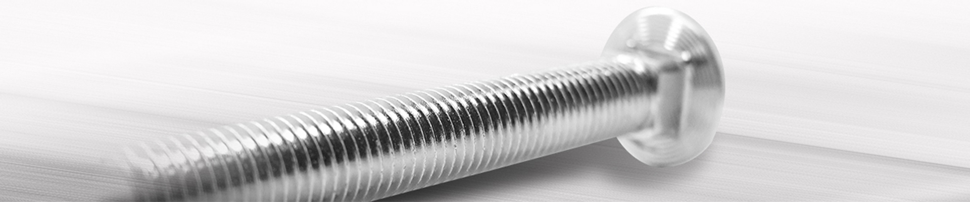 Taiwan Round Head Ribbed Neck Bolts - Zi Ea Factory