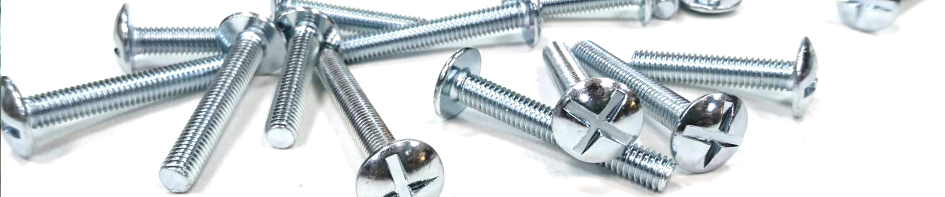 Taiwan Round Head Ribbed Neck Bolts - Zi Ea Factory