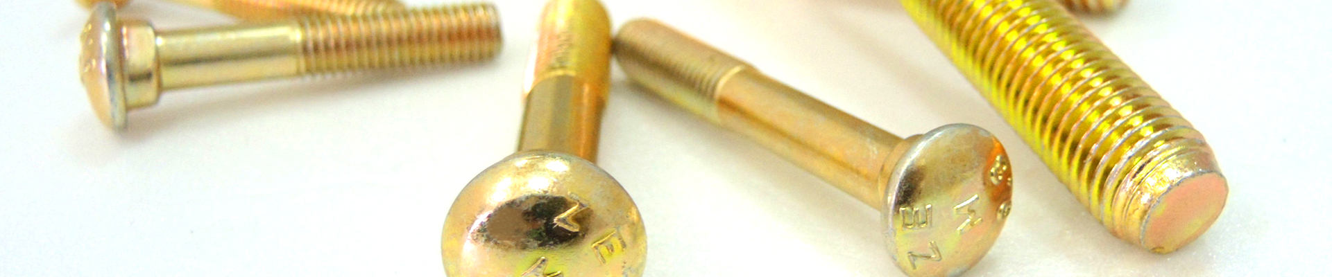 Taiwan Round Head Ribbed Neck Bolts - Zi Ea Factory